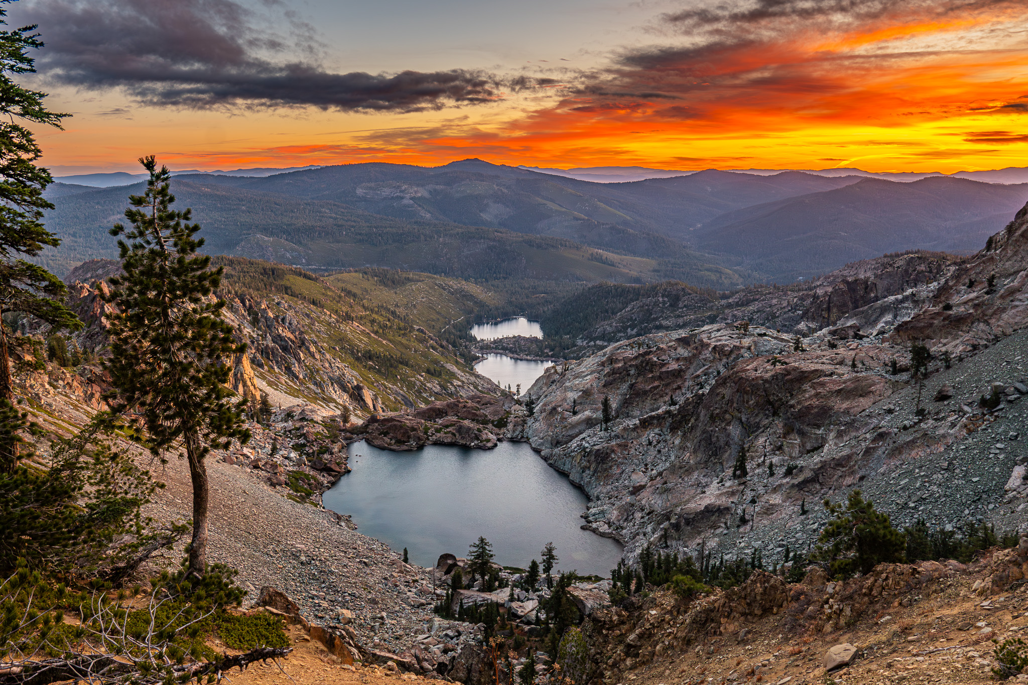 Sierra County Historical Society | Scotty Tang Gallery